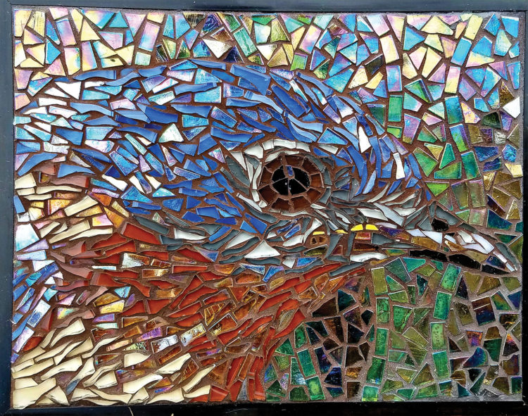 Birds of the Desert mosaic workshop set for May 15 – SaddleBrooke Ranch ...