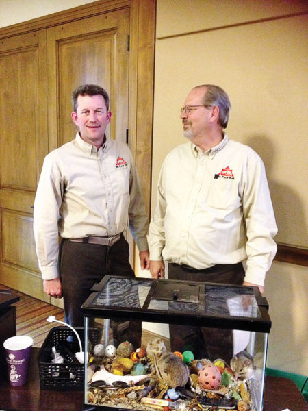 What you need to know about pack rats and the food chain – SaddleBrooke ...