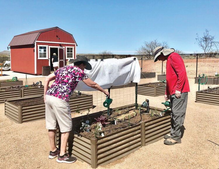 The University of Arizona Cooperative Extension Master Gardener ...