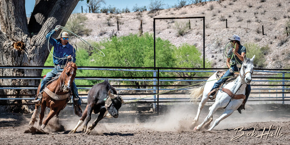 Outside the Gate: The Cowboy Culture of Team Roping – SaddleBrooke ...