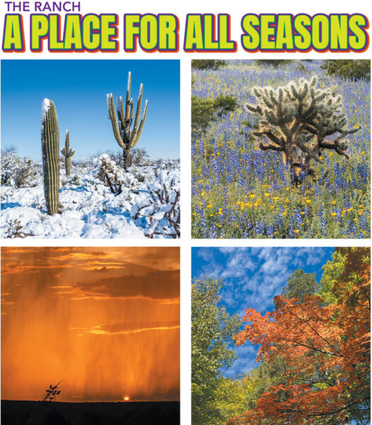 Nature’s Way: The Ranch—A Place for All Seasons – SaddleBrooke Ranch ...